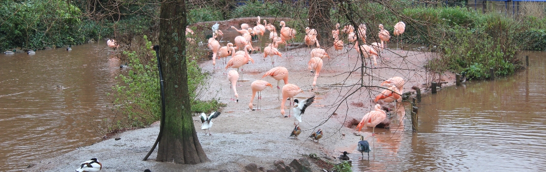 Paignton Zoo | PlanIt Park